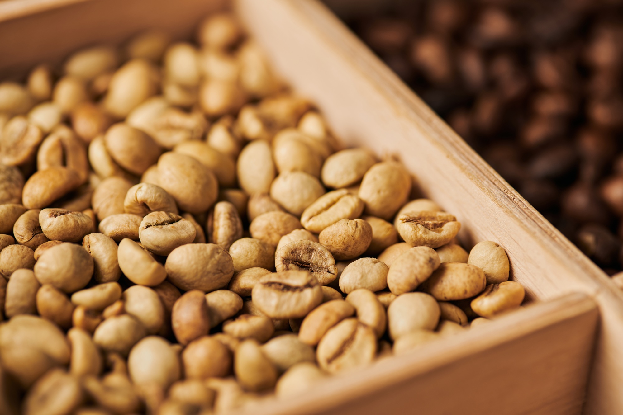 Understanding Coffee Roast Levels—Light, Medium, Dark