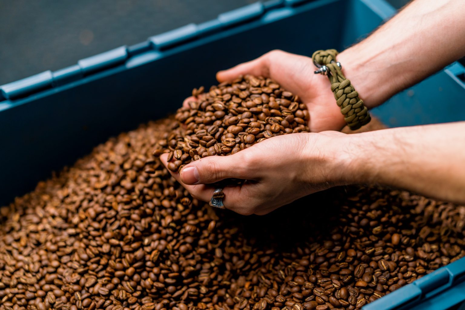 Coffee Production in the Philippines: History & Future