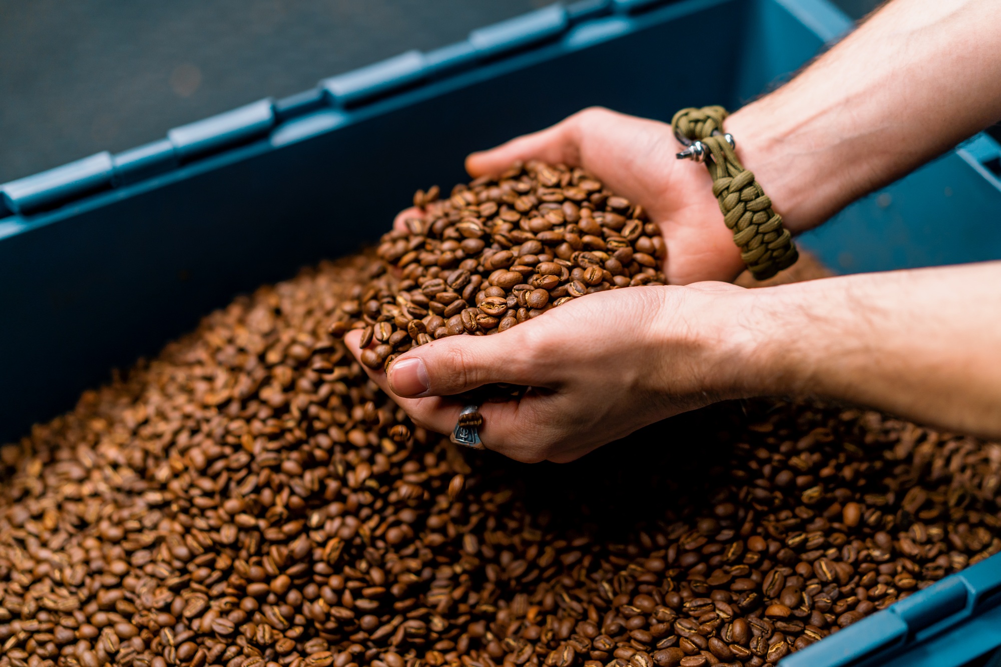 Coffee Production in the Philippines: History & Future